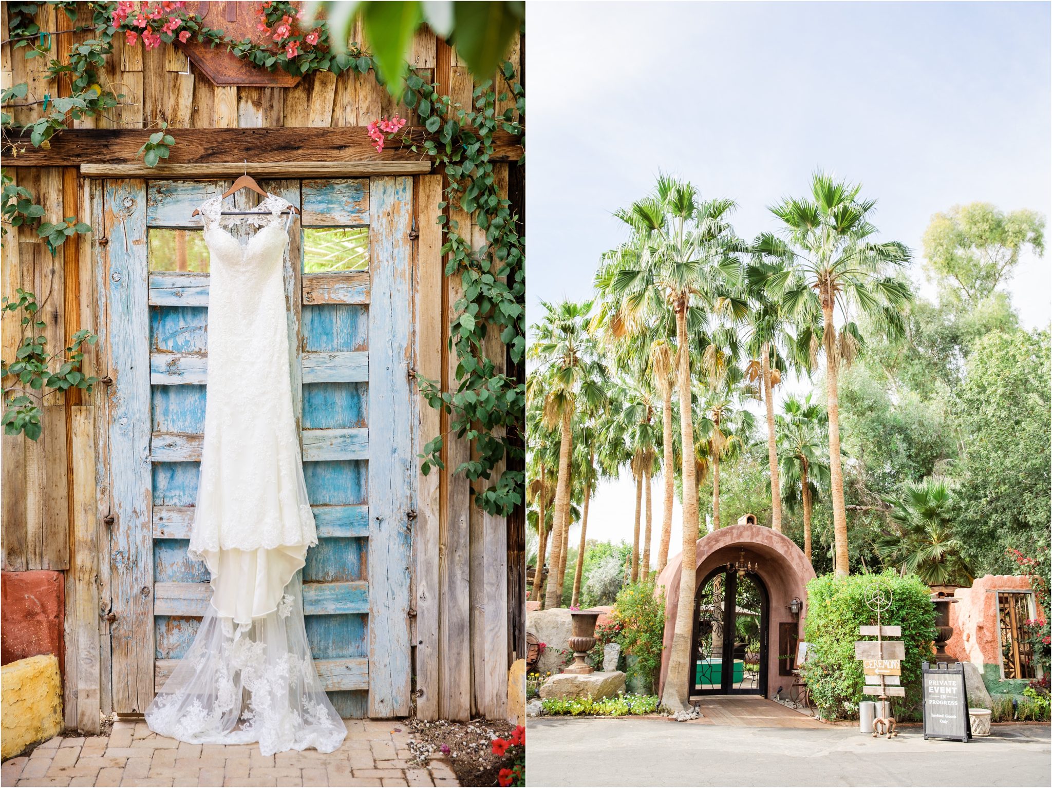 Boojum Tree Wedding Photographer || Boojum Tree Hidden Garden Phoenix ...